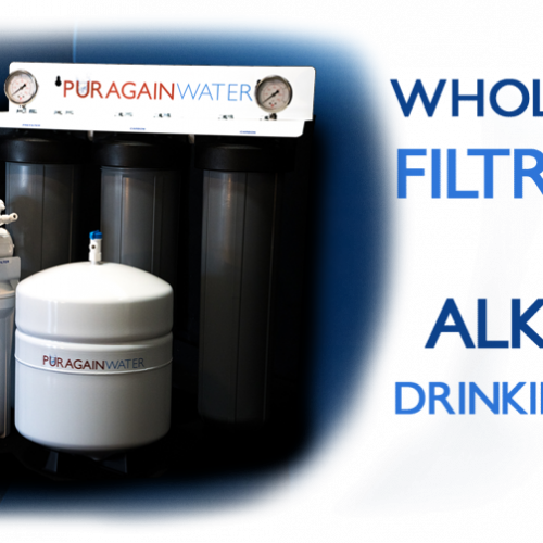 whole-houes+alkaline | Puragain Water